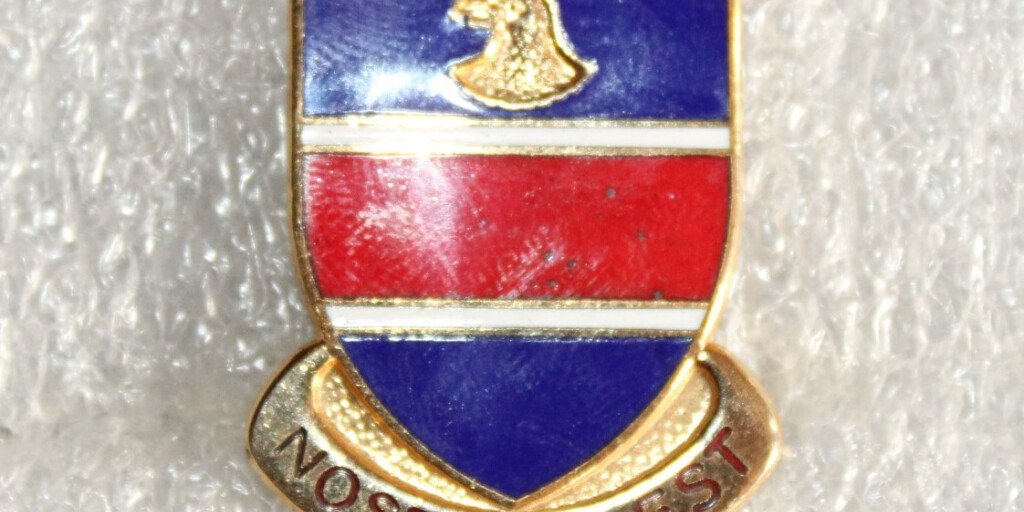 Crest 326th engineer Btn | Chris Militaria