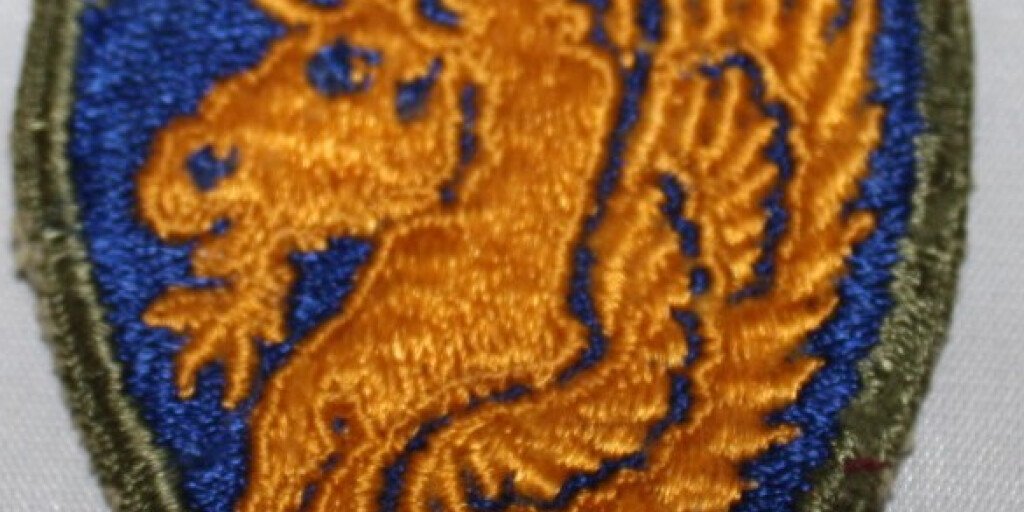 Patch 13e Div AB | Chris Militaria