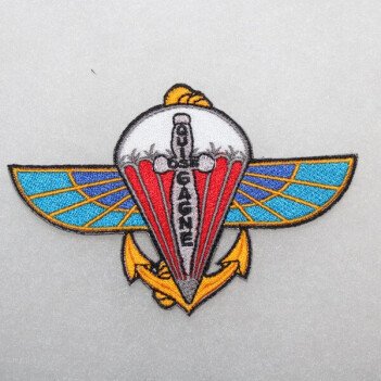 patch 2 RPIMA | Chris Militaria